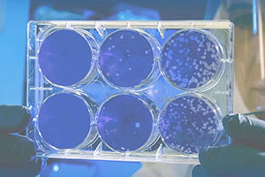 GAMP® 5 Guide: Categories, Requirements, and Validation | PTC