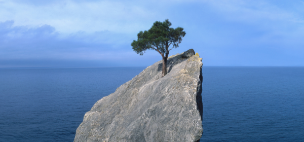 The Creo Model Tree: More Versatile Than You Ever Thought | PTC